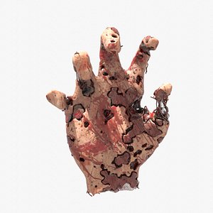 3D Infection Models | TurboSquid