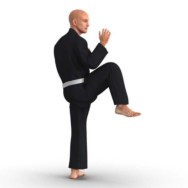 3d model karate fighter pose 3