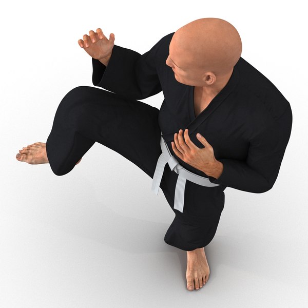 3d model karate fighter pose 3