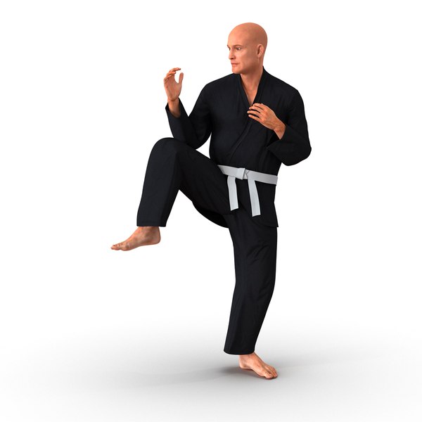 3d model karate fighter pose 3