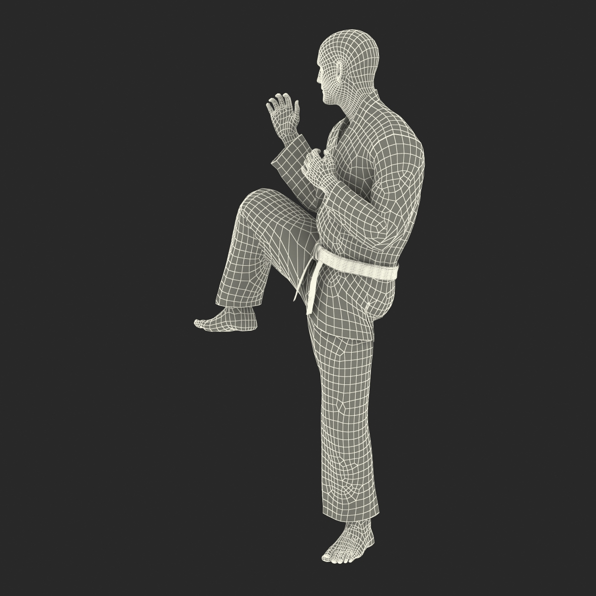 3d model karate fighter pose 3