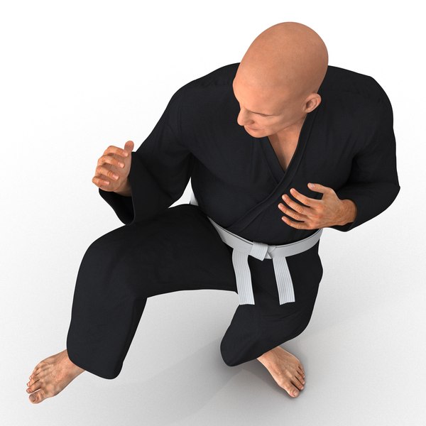 3d model karate fighter pose 3