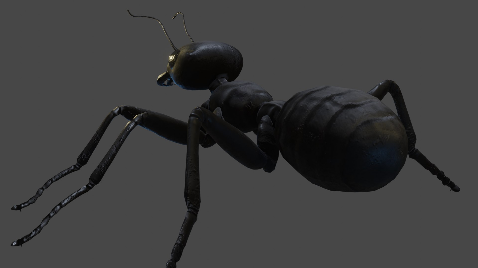 Black Ant Insect 3D Model - TurboSquid 2329182