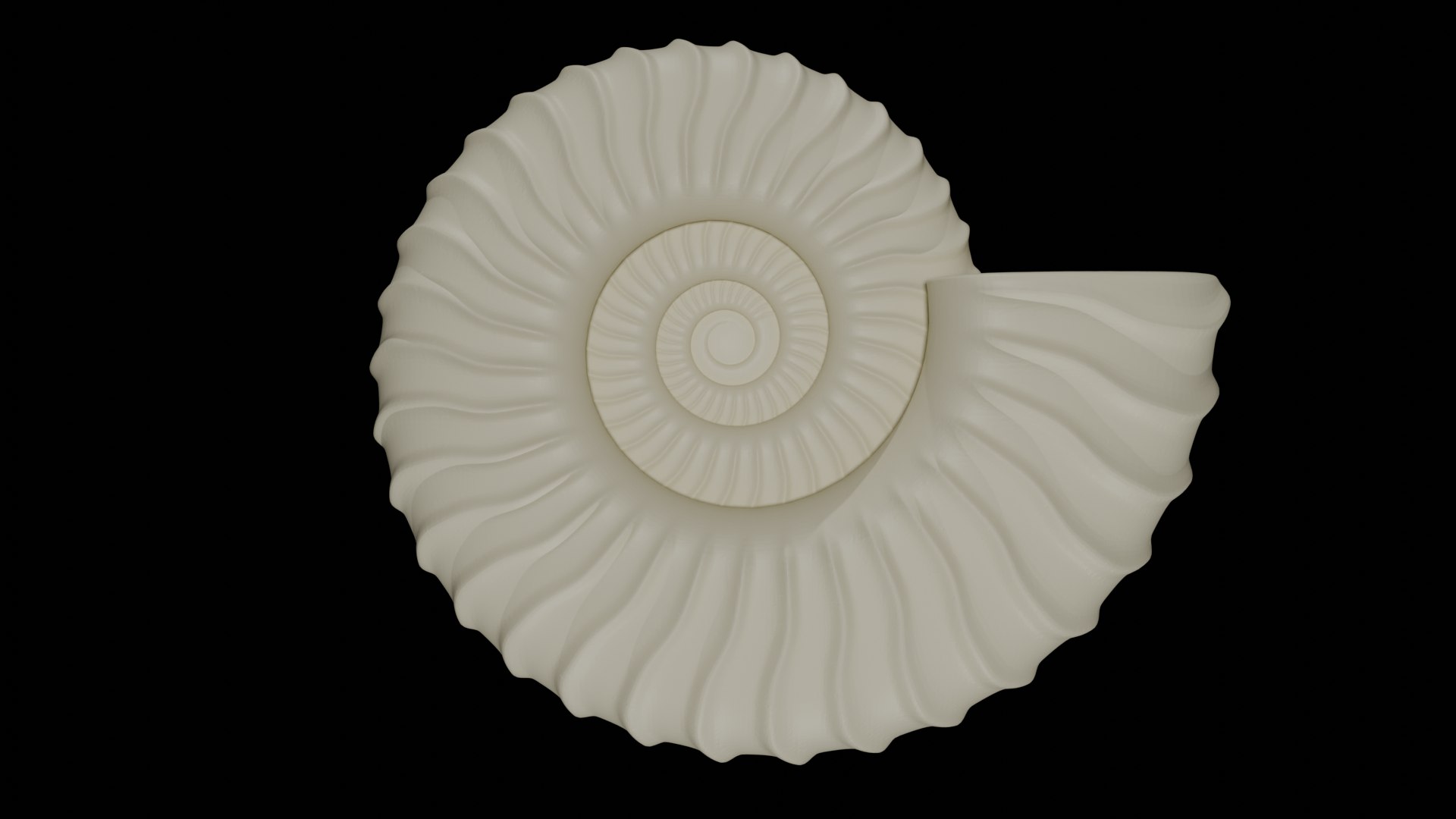 3D Ammonoid Shell With Falcate Ribs - TurboSquid 2294341
