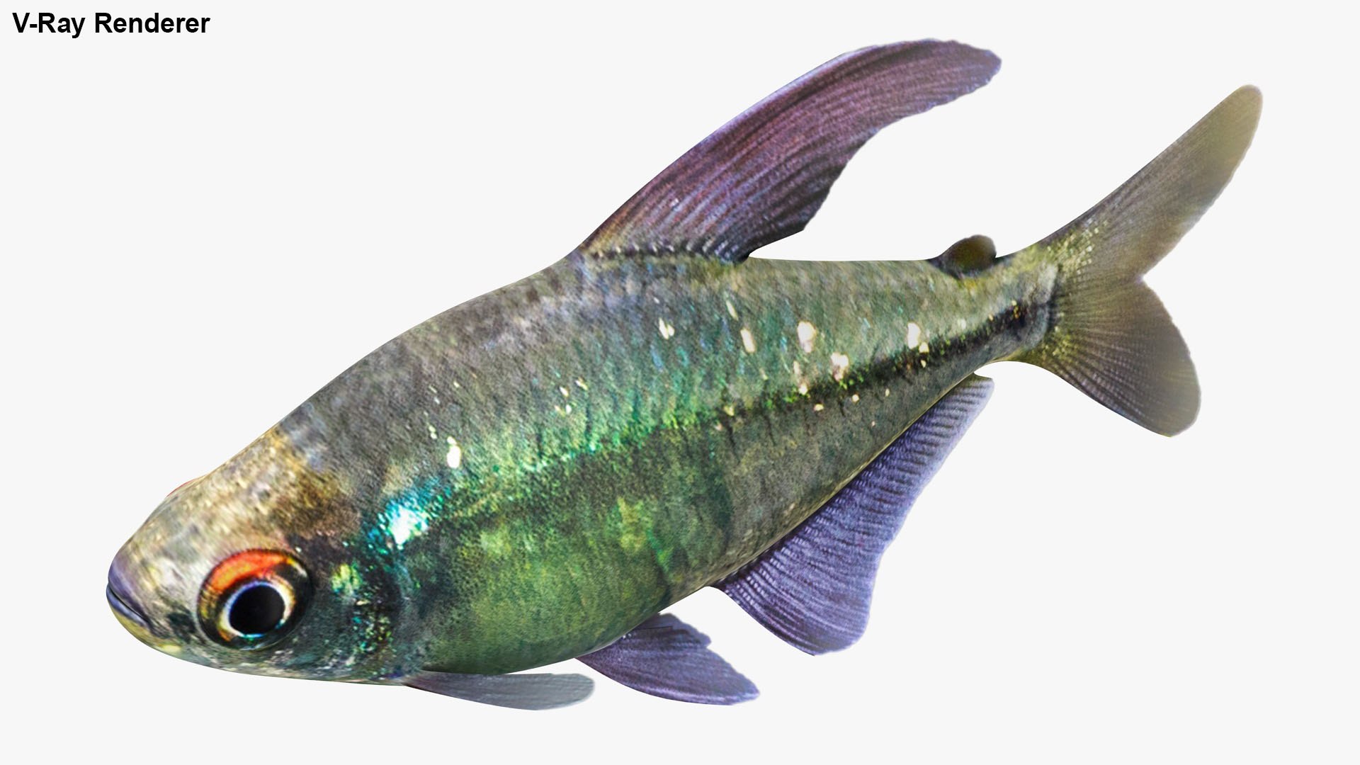 3D Diamond Tetra Rigged - TurboSquid 1659520