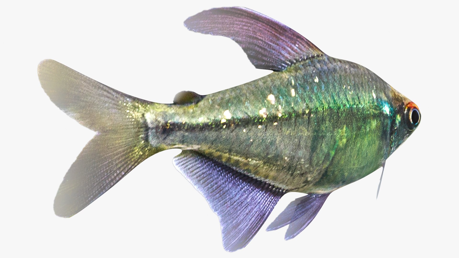 3D Diamond Tetra Rigged - TurboSquid 1659520