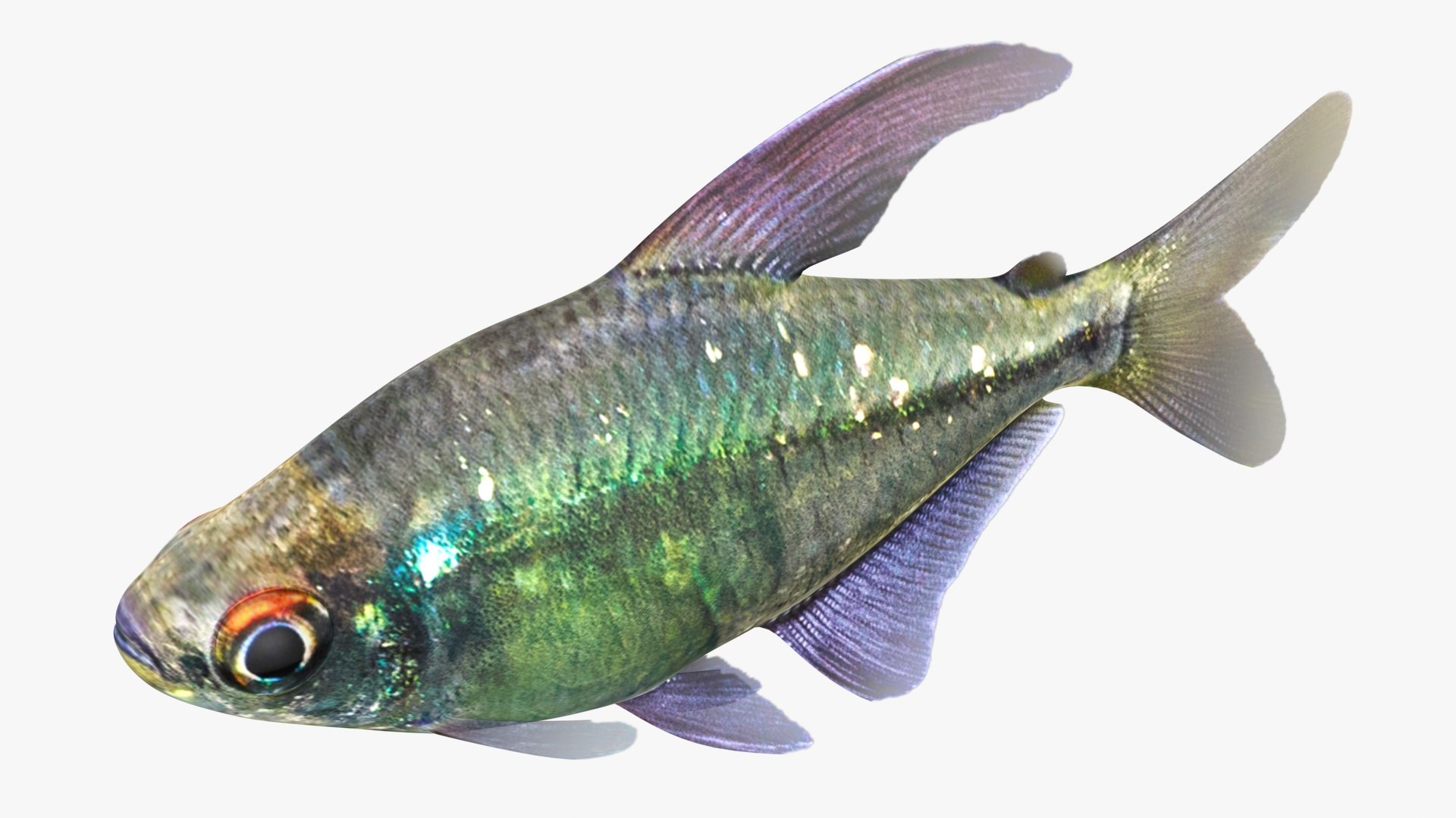 3D Diamond Tetra Rigged - TurboSquid 1659520