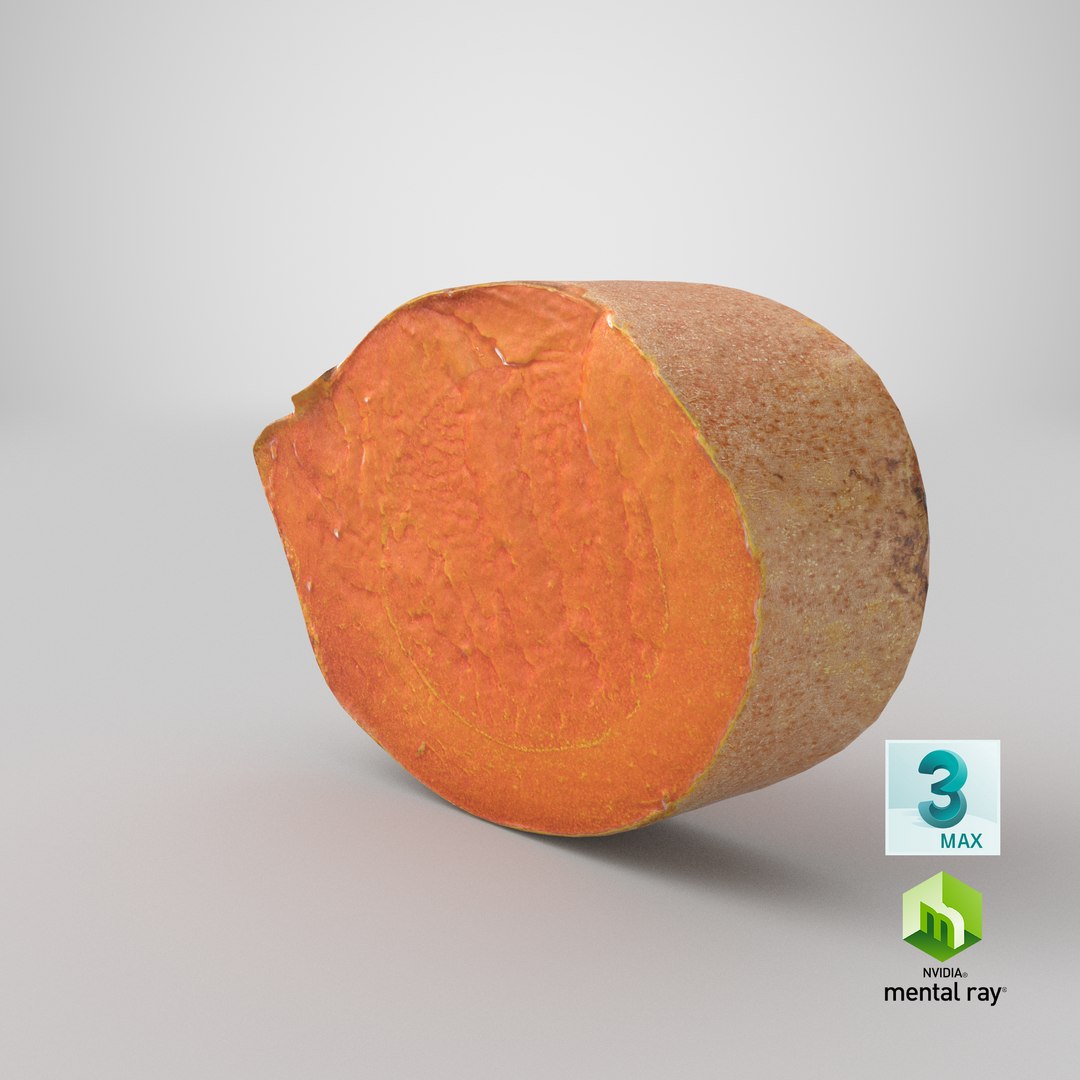 Turmeric Slice v2 3D model - TurboSquid 1863680