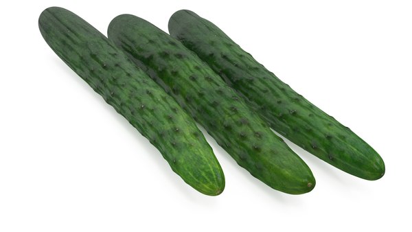 modelo 3d Japanese Cucumbers - TurboSquid 1981850