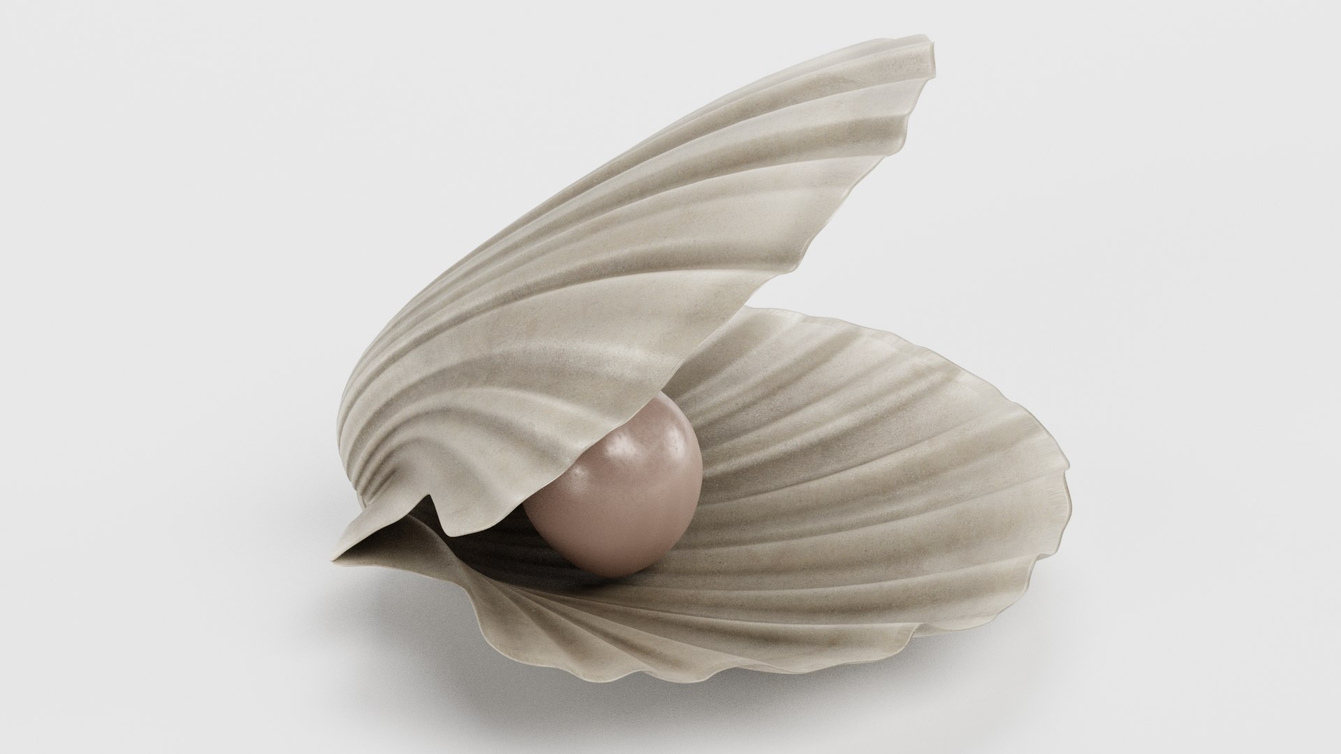 Clam Pearl 3D Model - TurboSquid 1491457