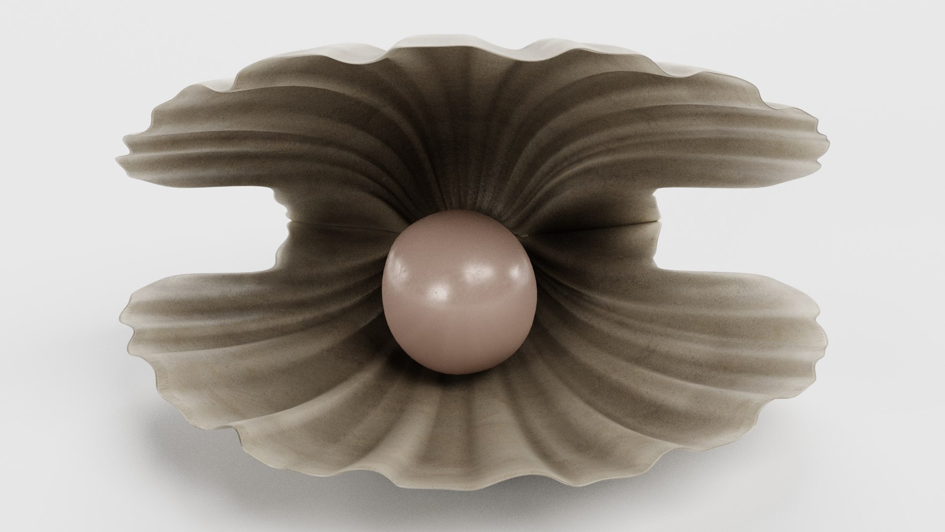 Clam Pearl 3D Model - TurboSquid 1491457