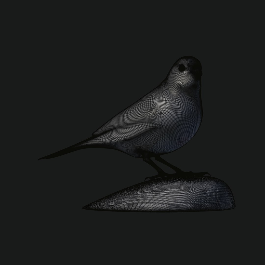 Canary model - TurboSquid 2047684