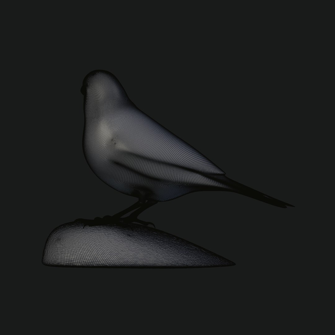 Canary model - TurboSquid 2047684