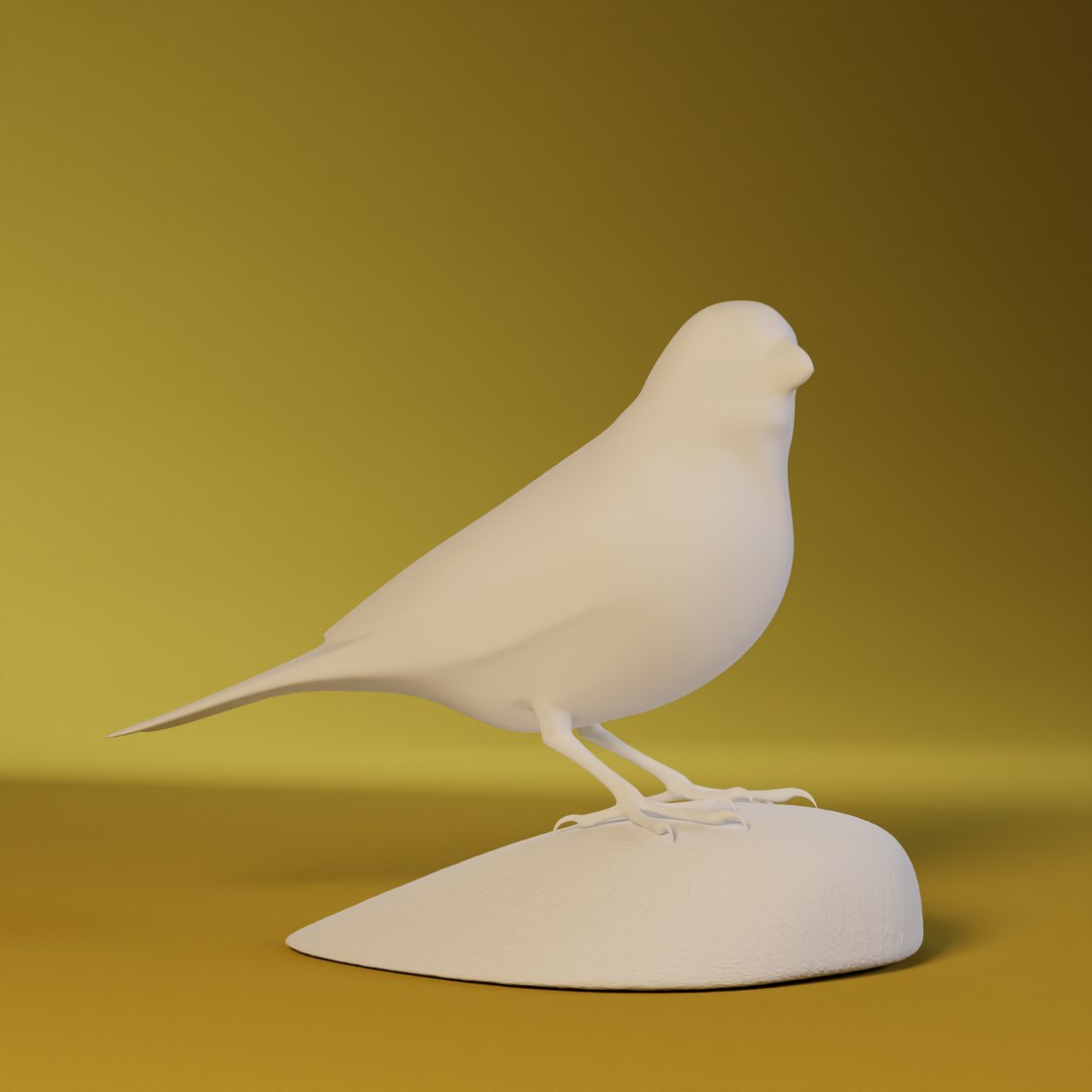 Canary model - TurboSquid 2047684