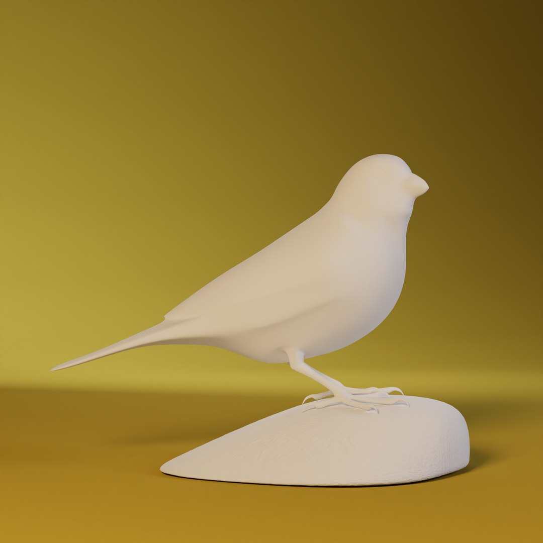 Canary model - TurboSquid 2047684