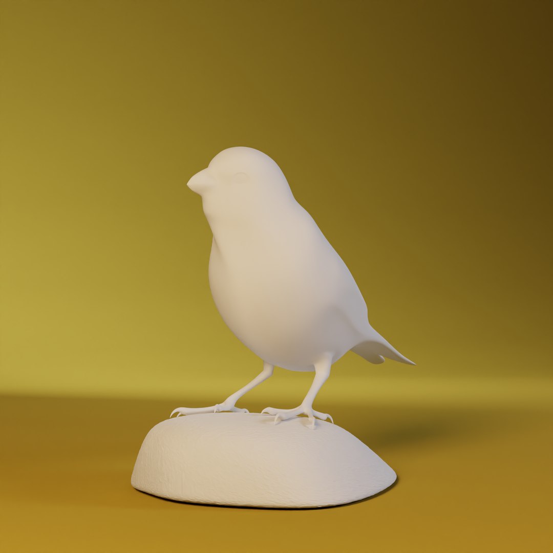 Canary model - TurboSquid 2047684
