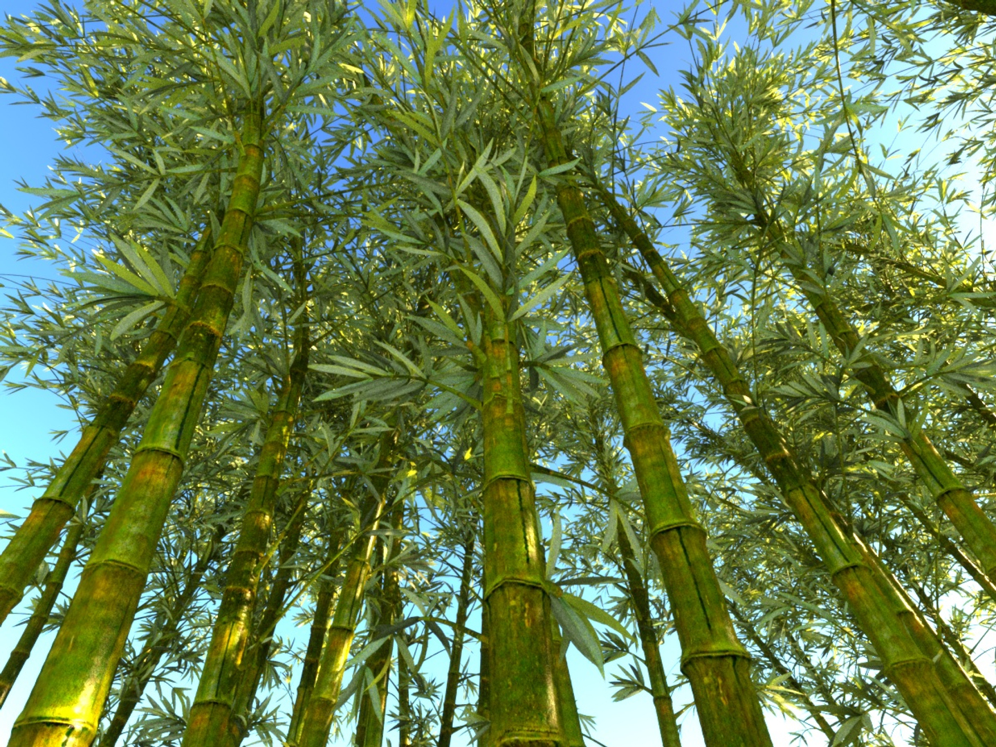 3D bamboo forest pack 10 - TurboSquid 1384653