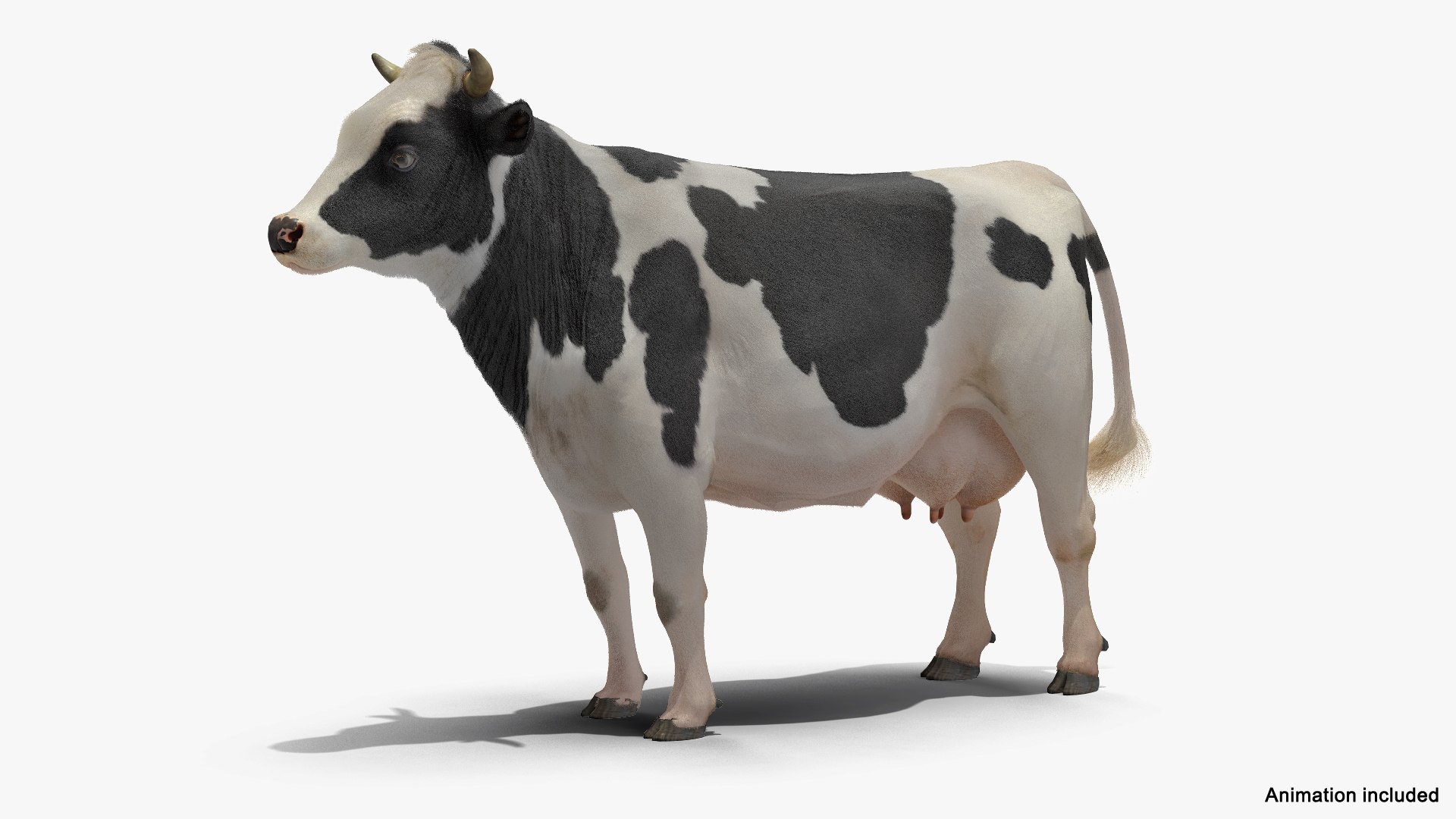 Cow Mooing Farm Animal 3D Model - TurboSquid 1417819