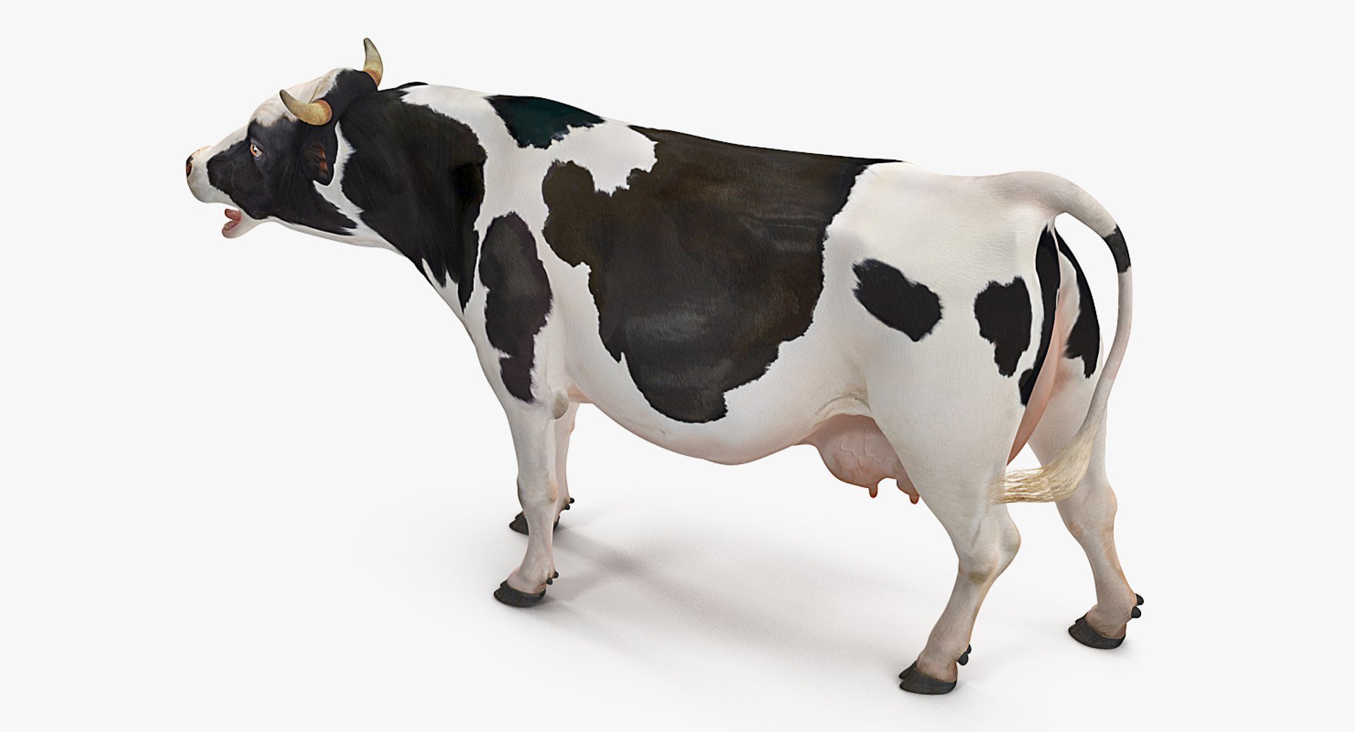 Cow Mooing Farm Animal 3D Model - TurboSquid 1417819