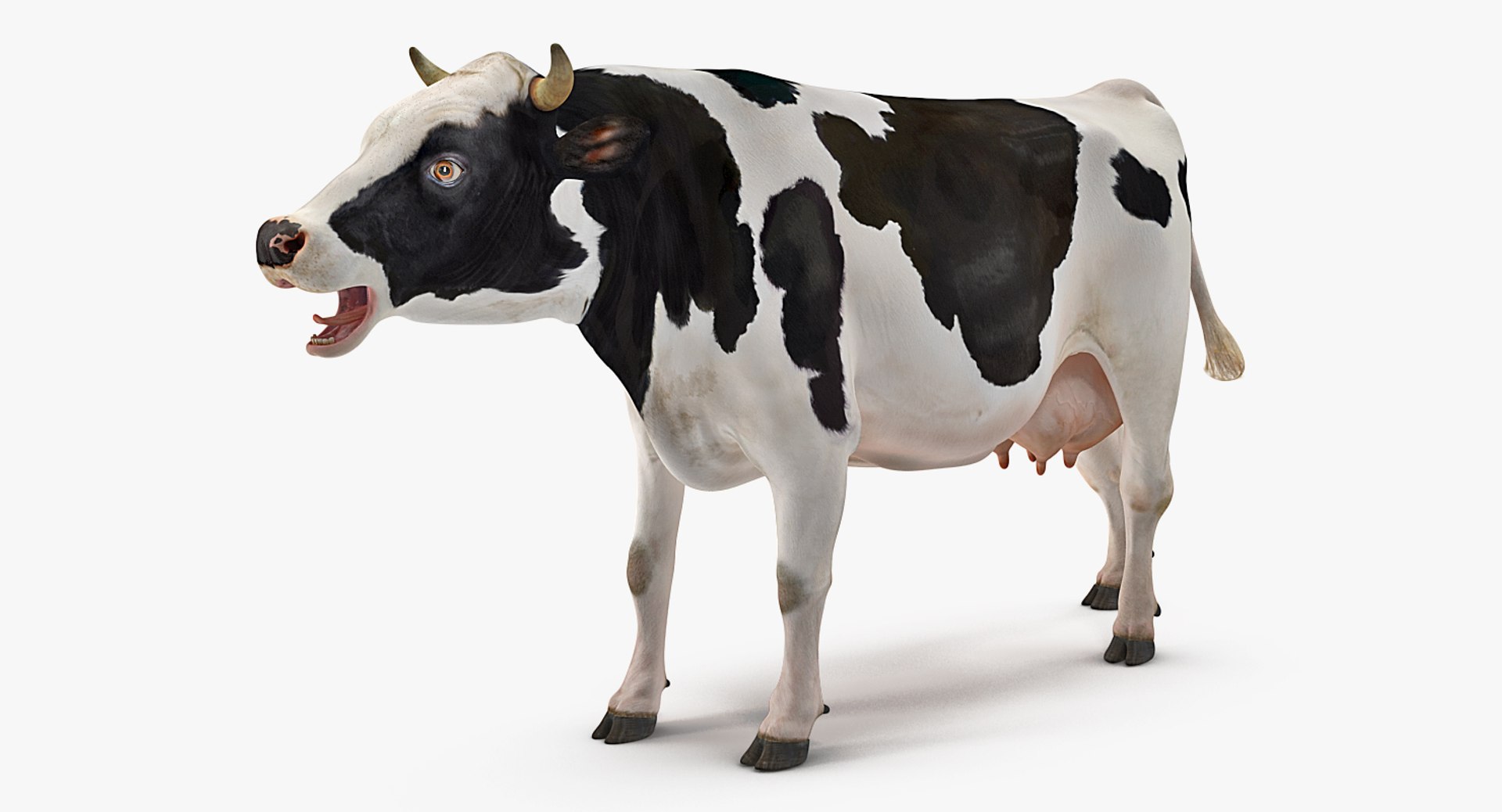 Cow Mooing Farm Animal 3D Model - TurboSquid 1417819