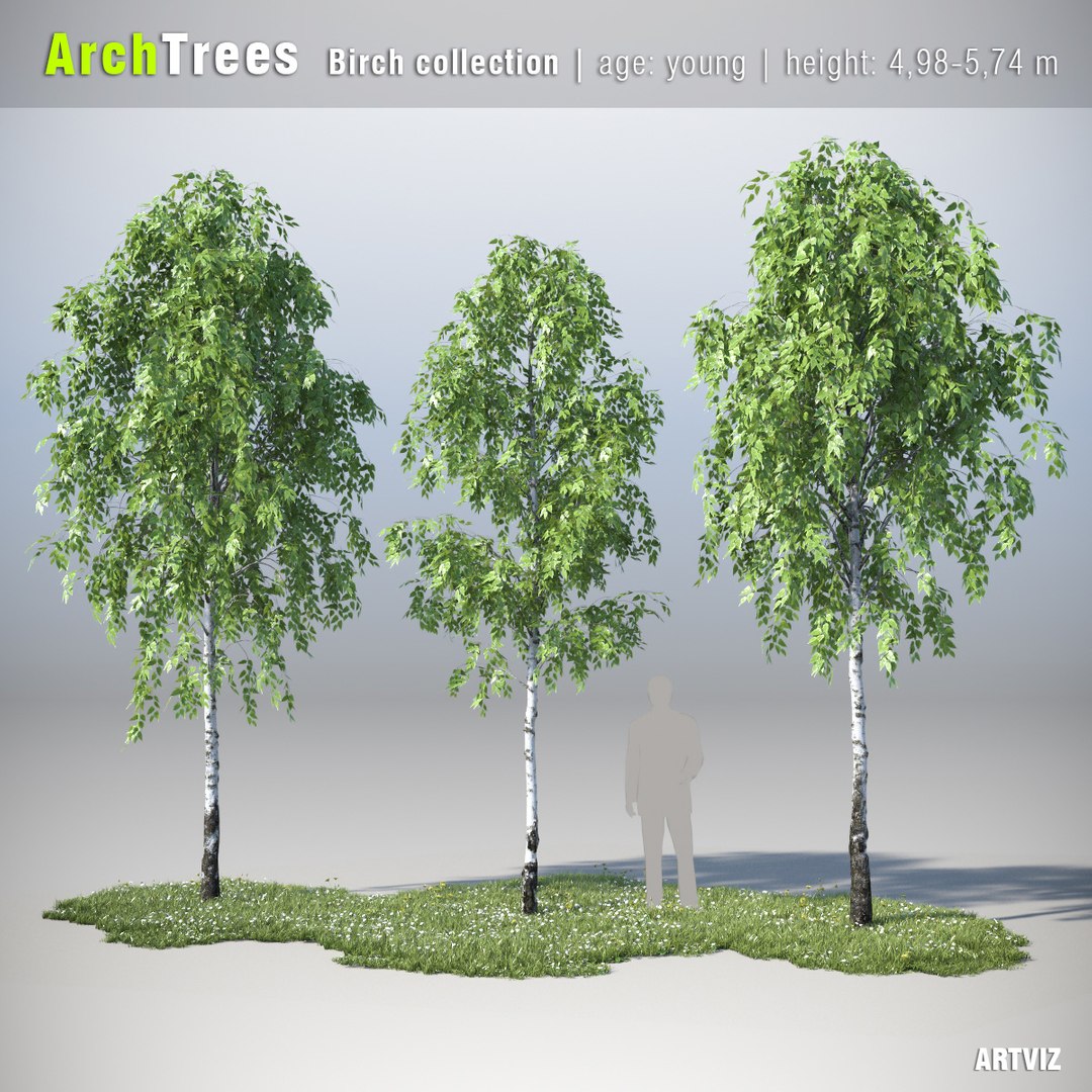 archtrees trees 3d model