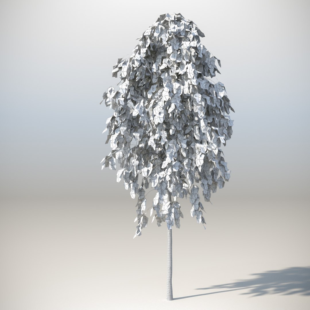 archtrees trees 3d model