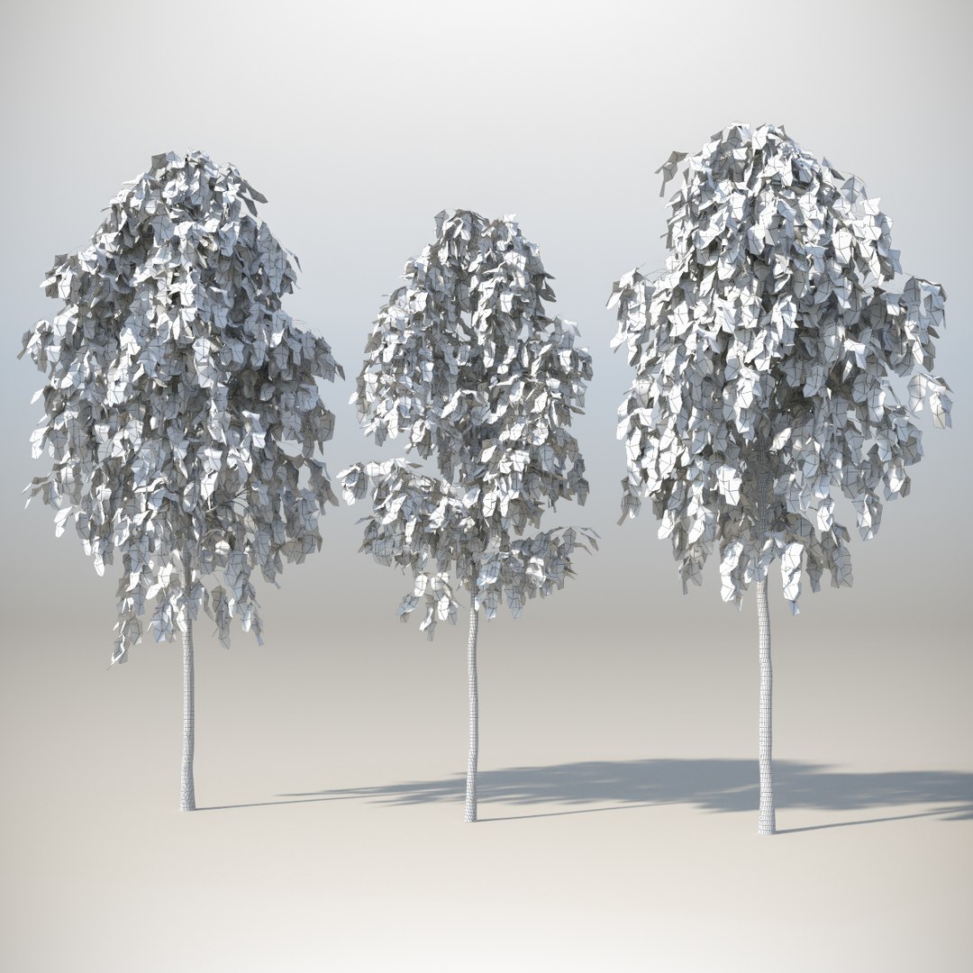 archtrees trees 3d model