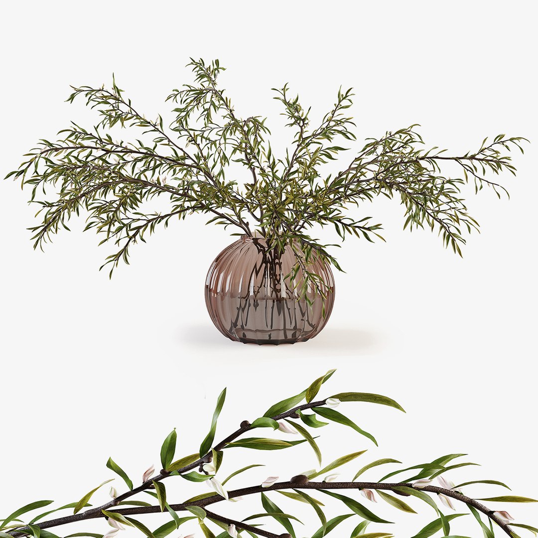 3D Model Branches In A Vase 019 - TurboSquid 1988471
