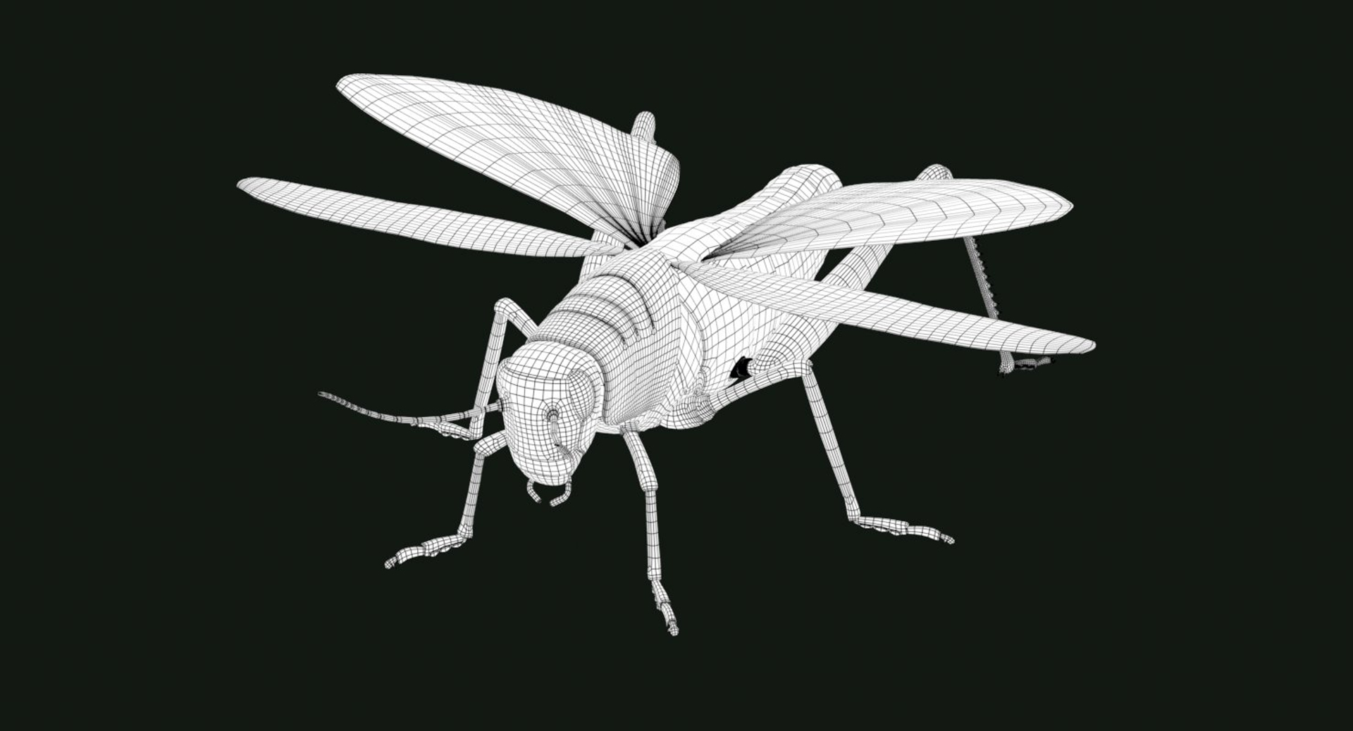 Rigged Grasshopper Obj