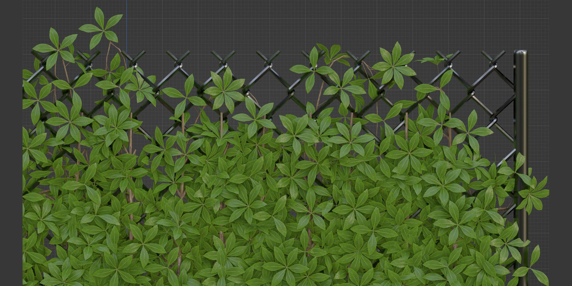 3D model Virginia creeper on fence vol 182-Blender-3dmodel - TurboSquid ...