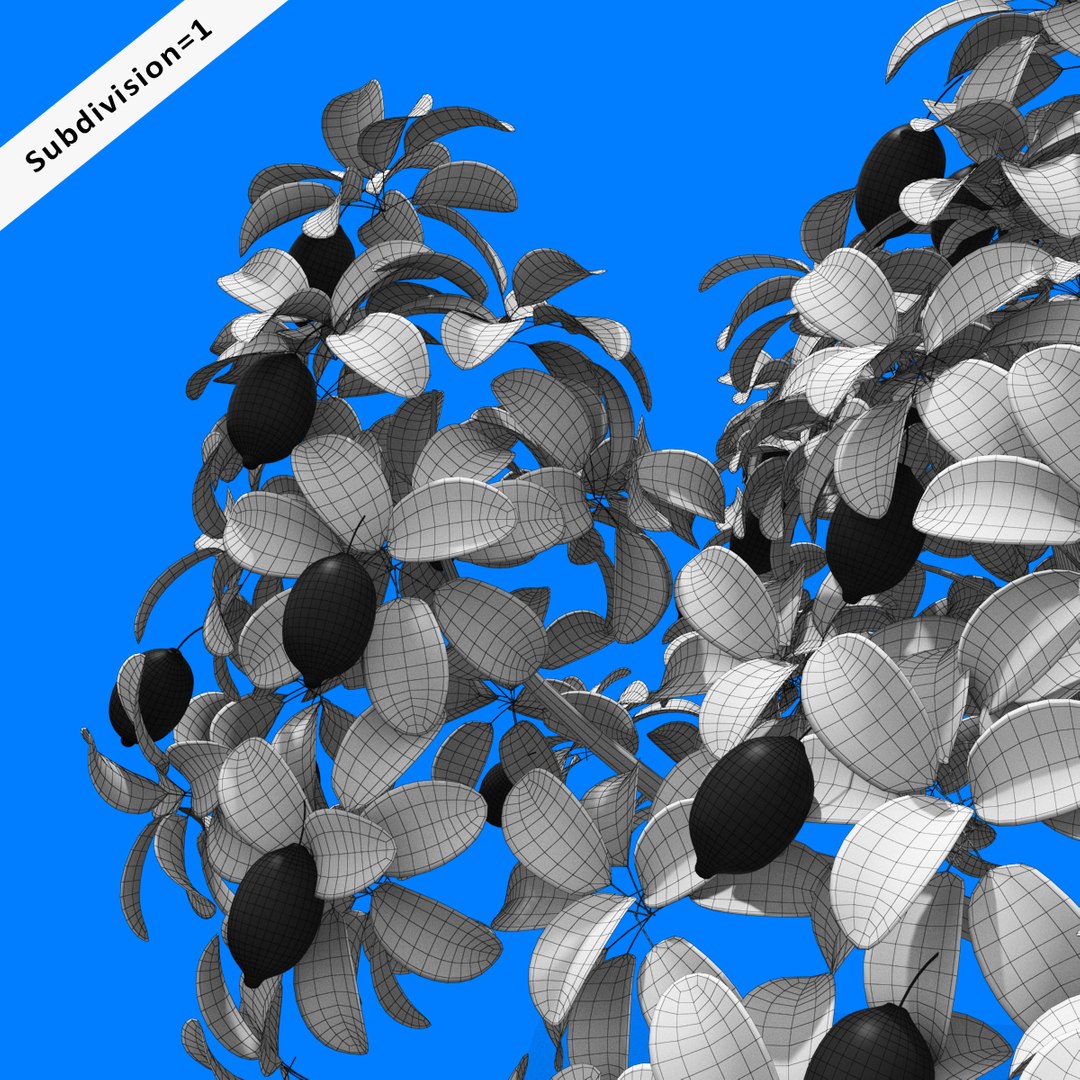3d Lemon Tree Model
