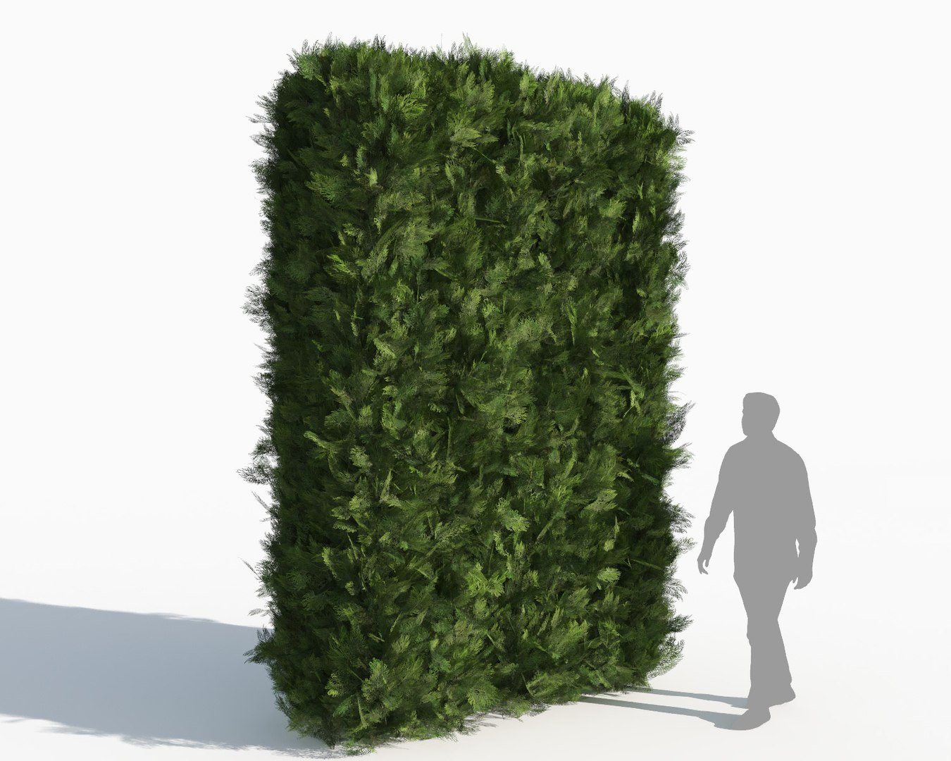 Cedar Hedge 3D Model - TurboSquid 1177955
