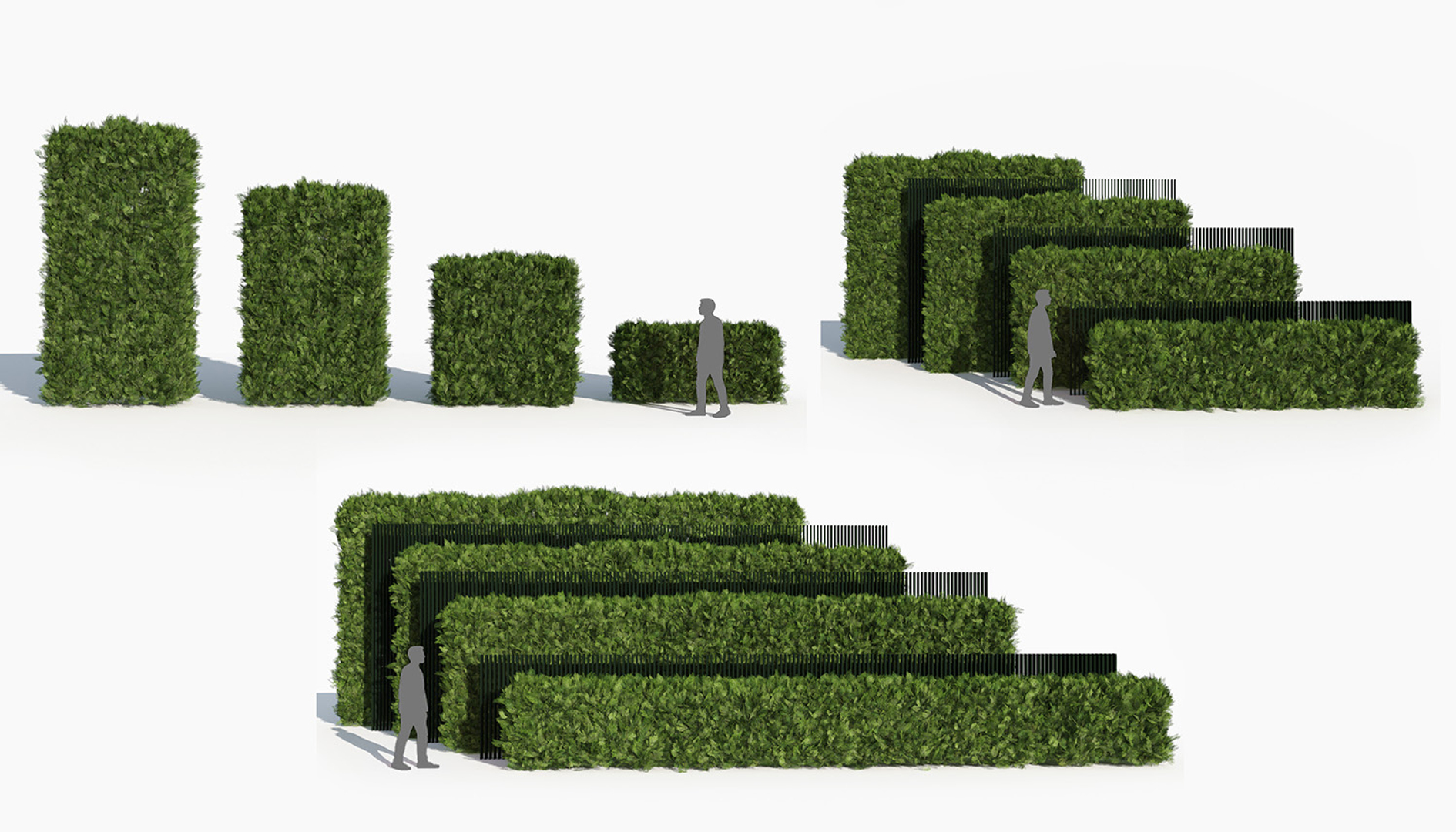 Cedar hedge 3D model - TurboSquid 1177955