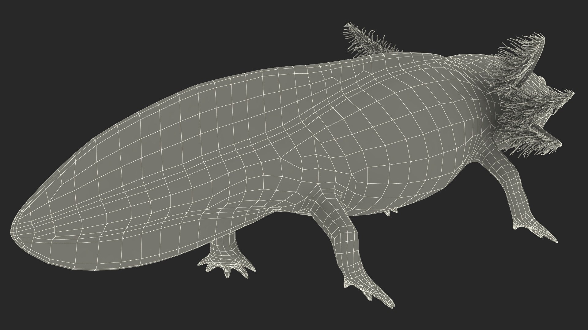 Golden Albino Axolotl 3D - TurboSquid 2209653