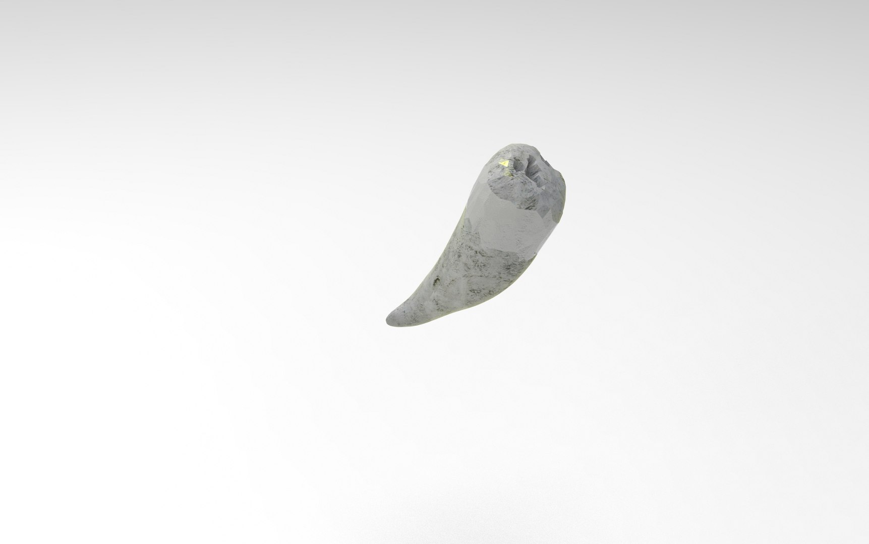 Fang of an animal in a mineral 3D - TurboSquid 1950737