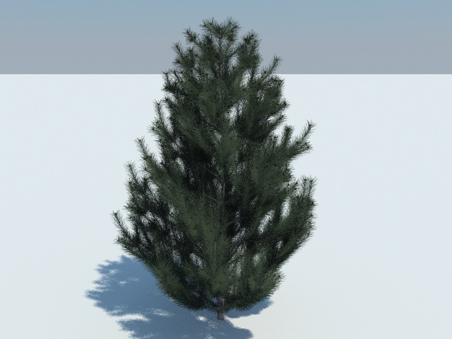 3d max realistic pine tree