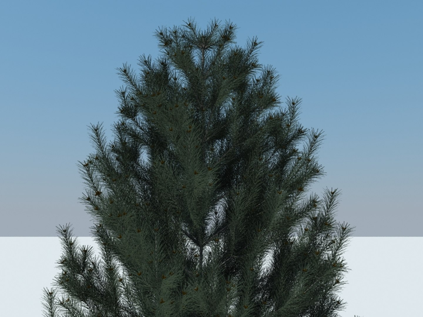 3d max realistic pine tree