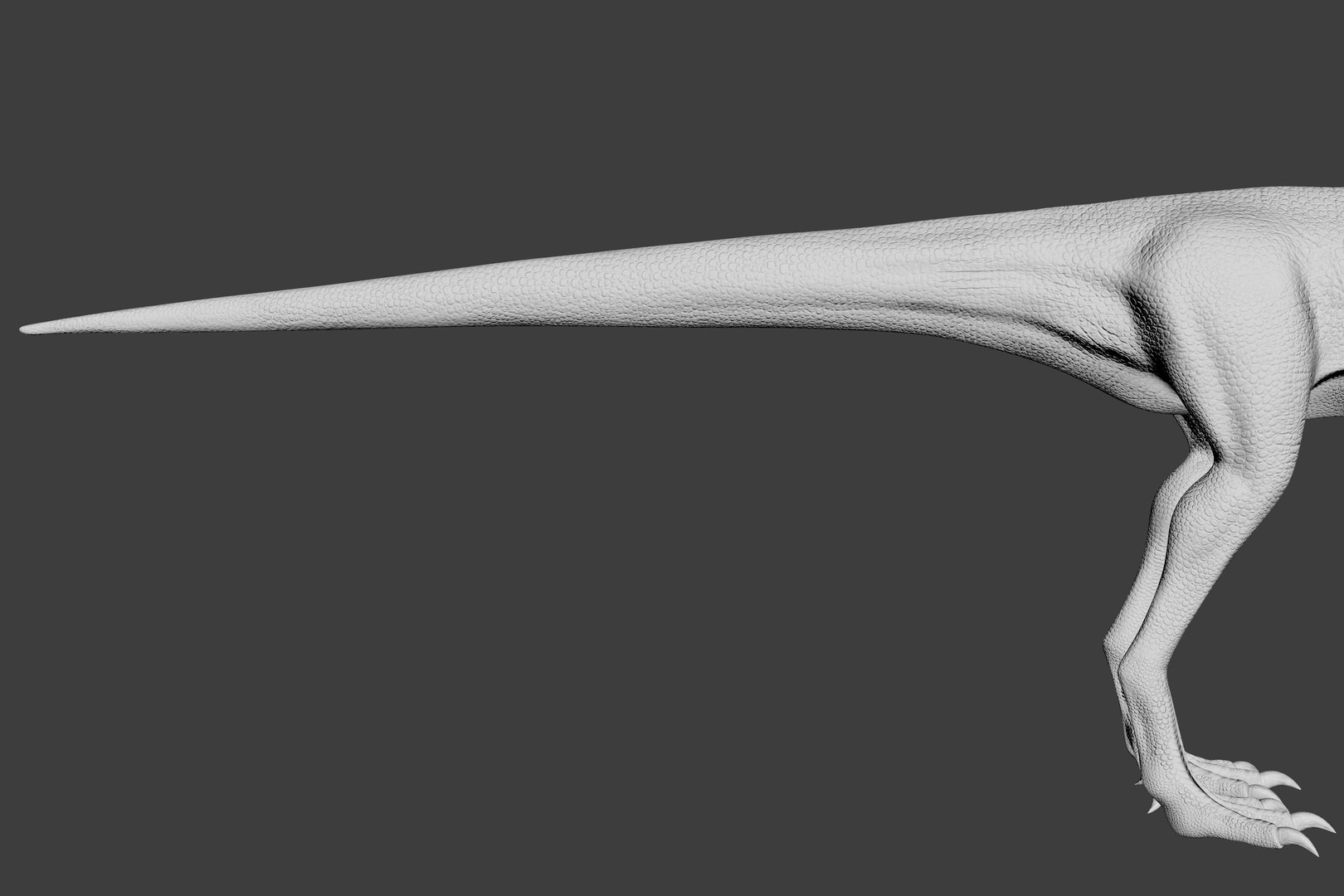 3D Syntarsus Dinosaur Triassic Animal - TurboSquid 2332106