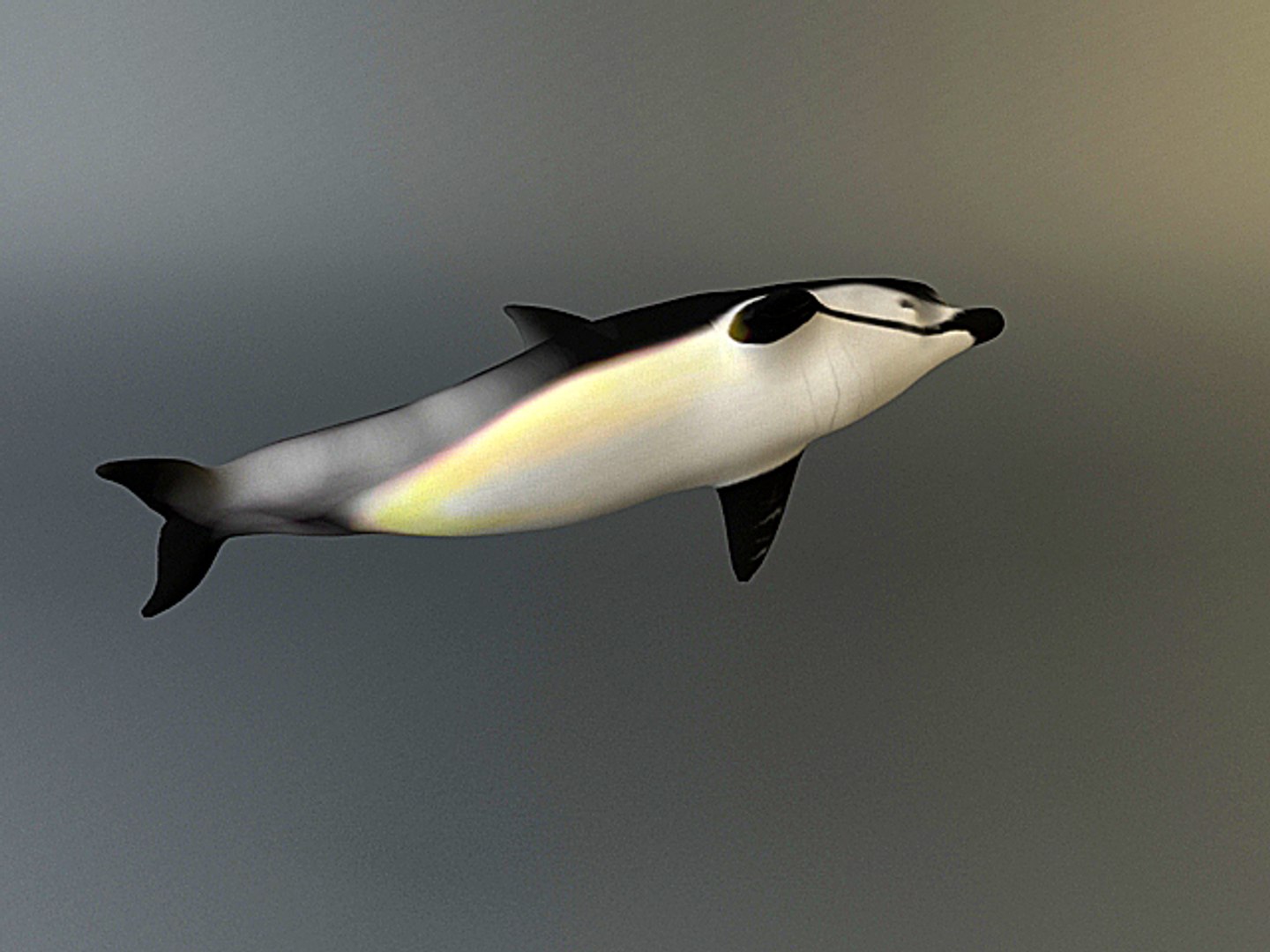3d Obj Pack Dolphins