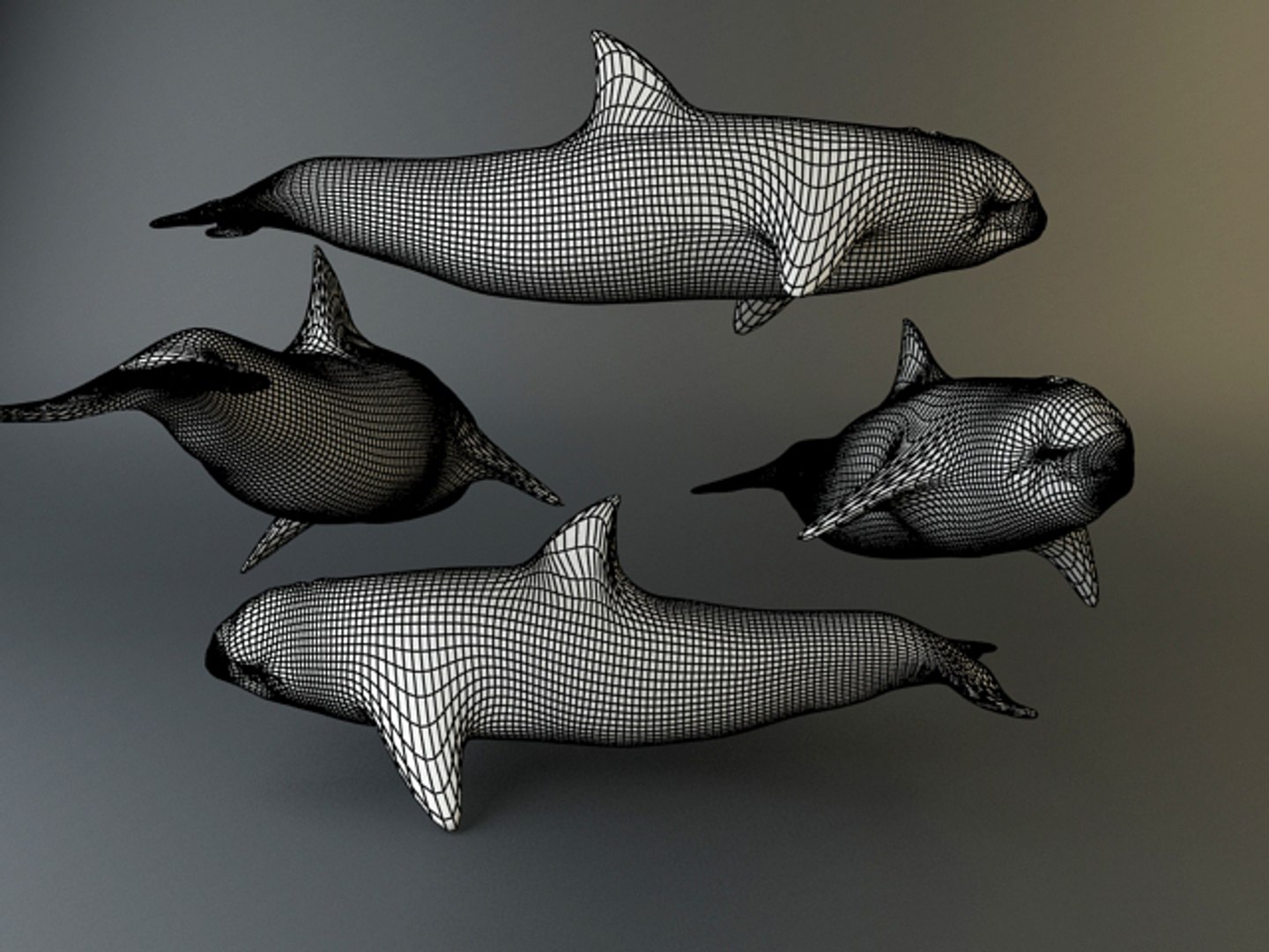 3d Obj Pack Dolphins