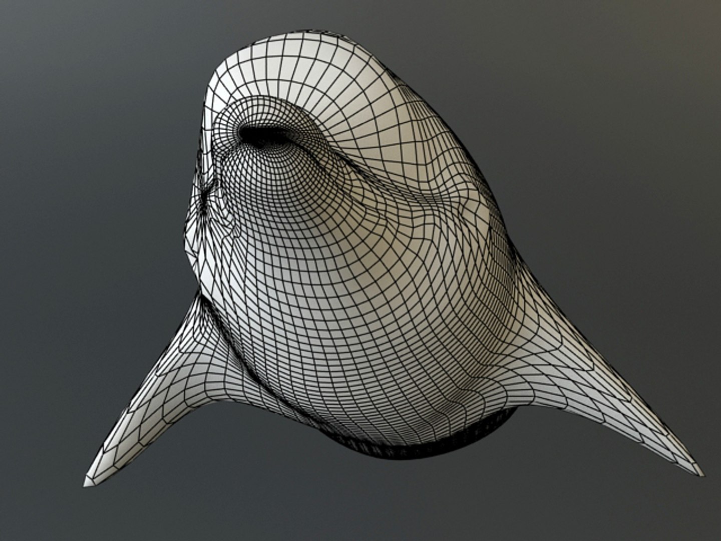 3d Obj Pack Dolphins