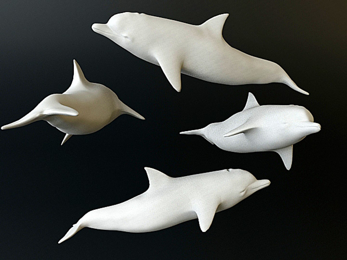 3d Obj Pack Dolphins