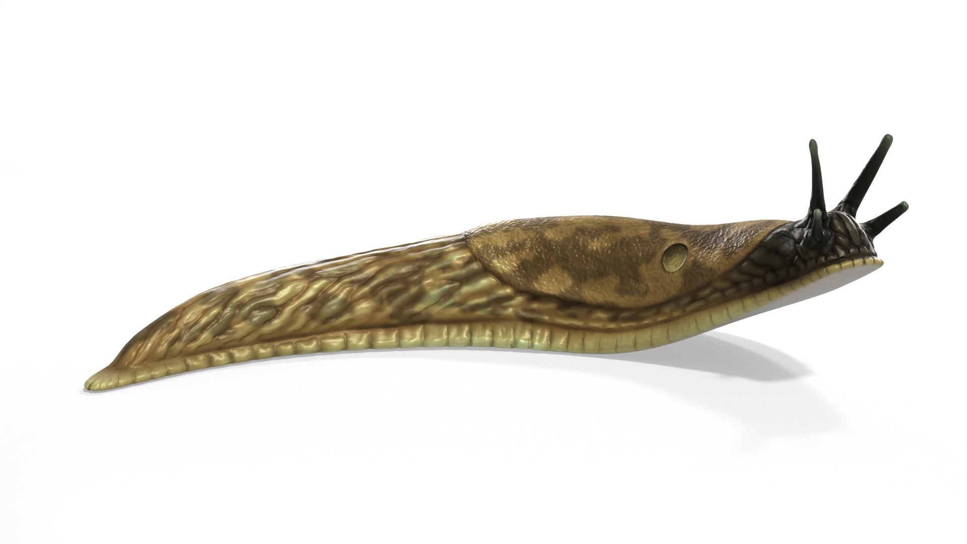 3D Slug - TurboSquid 2044500