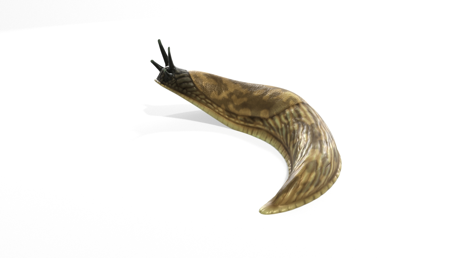 3D Slug - TurboSquid 2044500