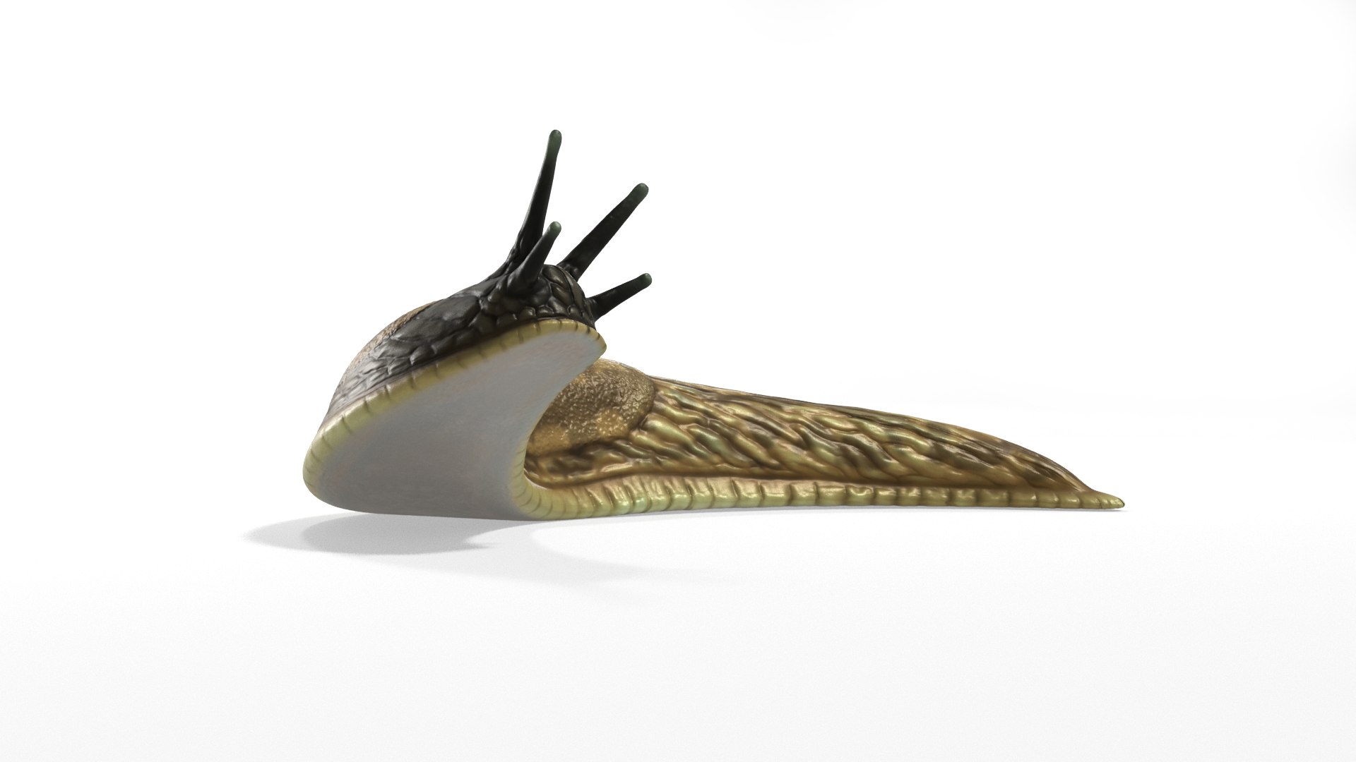 3D Slug - TurboSquid 2044500