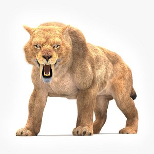 primeval smilodon