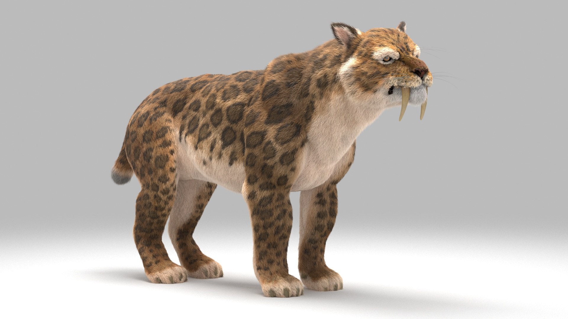 Saber-toothed Smilodon 3D Model - TurboSquid 1292400
