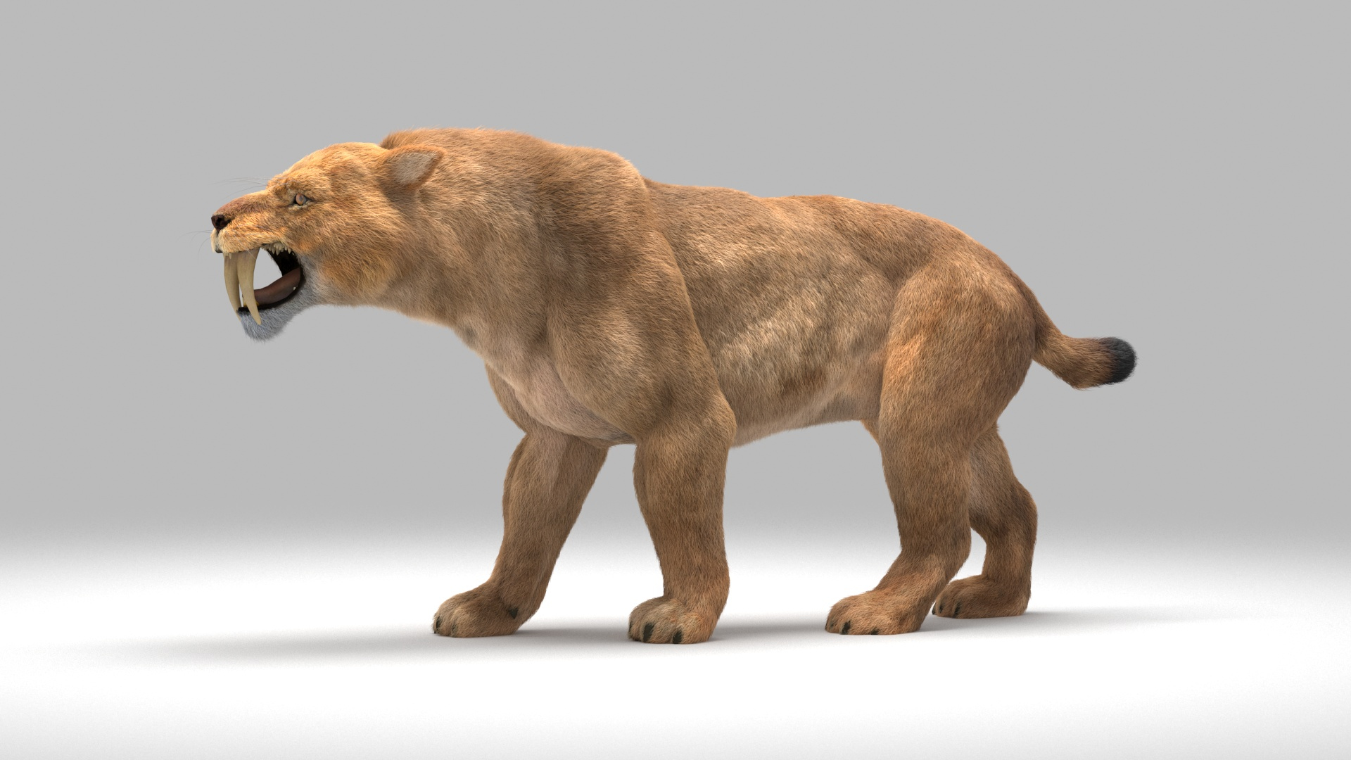 modelo 3d Smilodon Populator - TurboSquid 1292400