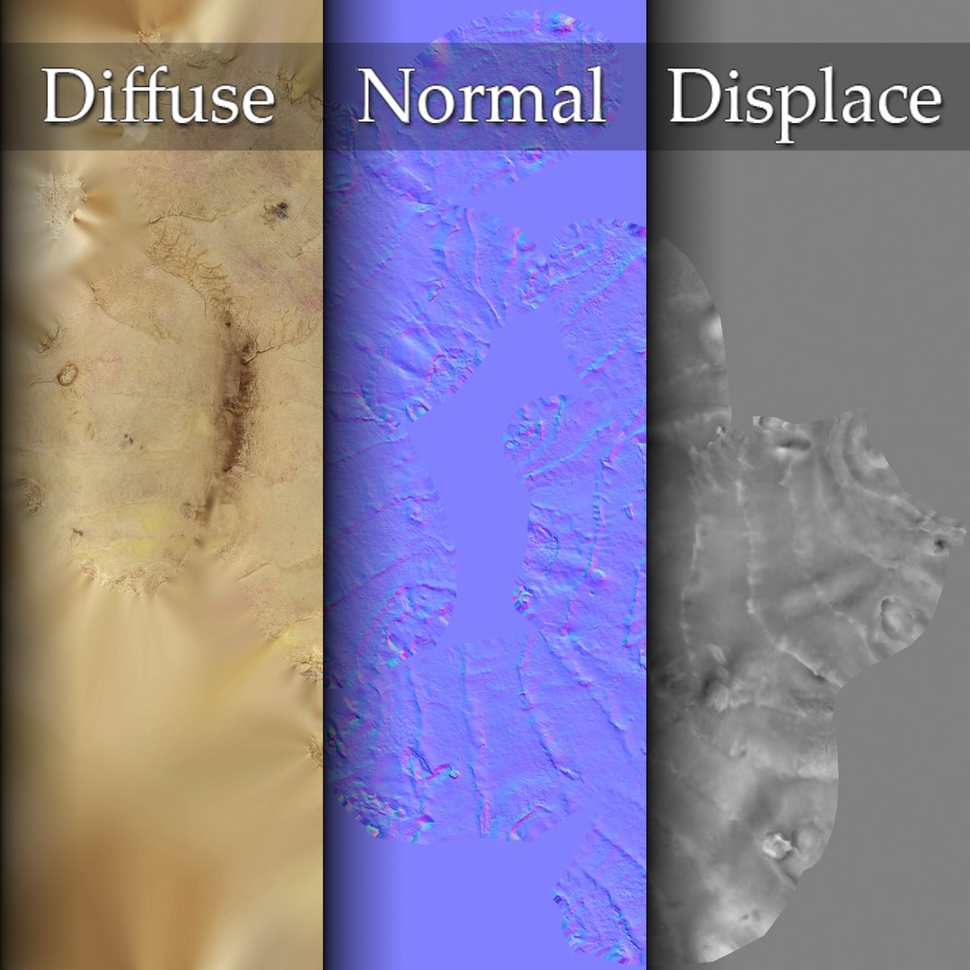 3D Ginger Subdivision Displacement - TurboSquid 1169782