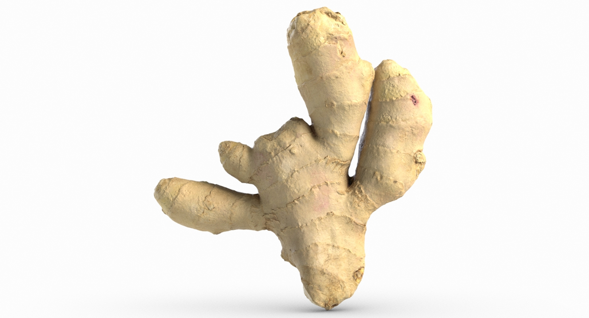 3D Ginger Subdivision Displacement - TurboSquid 1169782